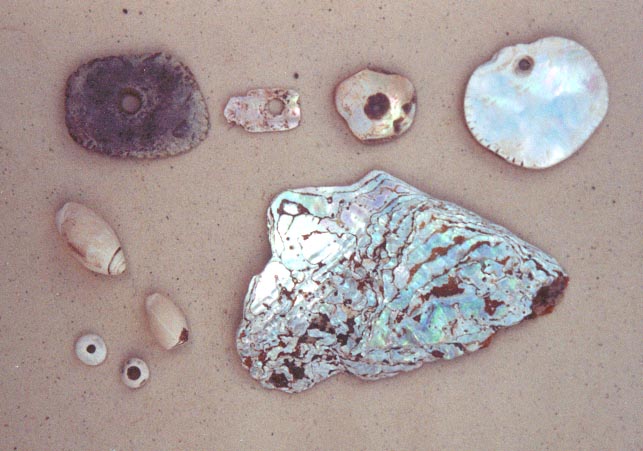 From Inside the Vaults: Collections Management – SAN DIEGO ...